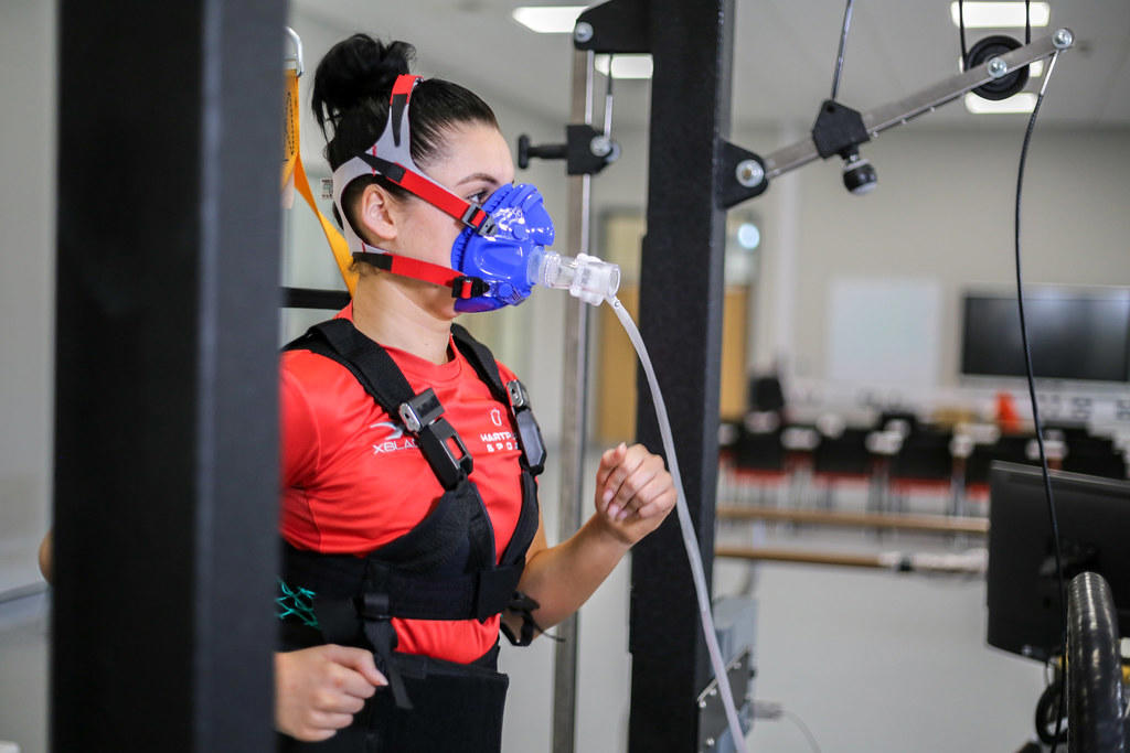 BSc (Hons) Sport and Exercise Sciences | Hartpury University - 2026