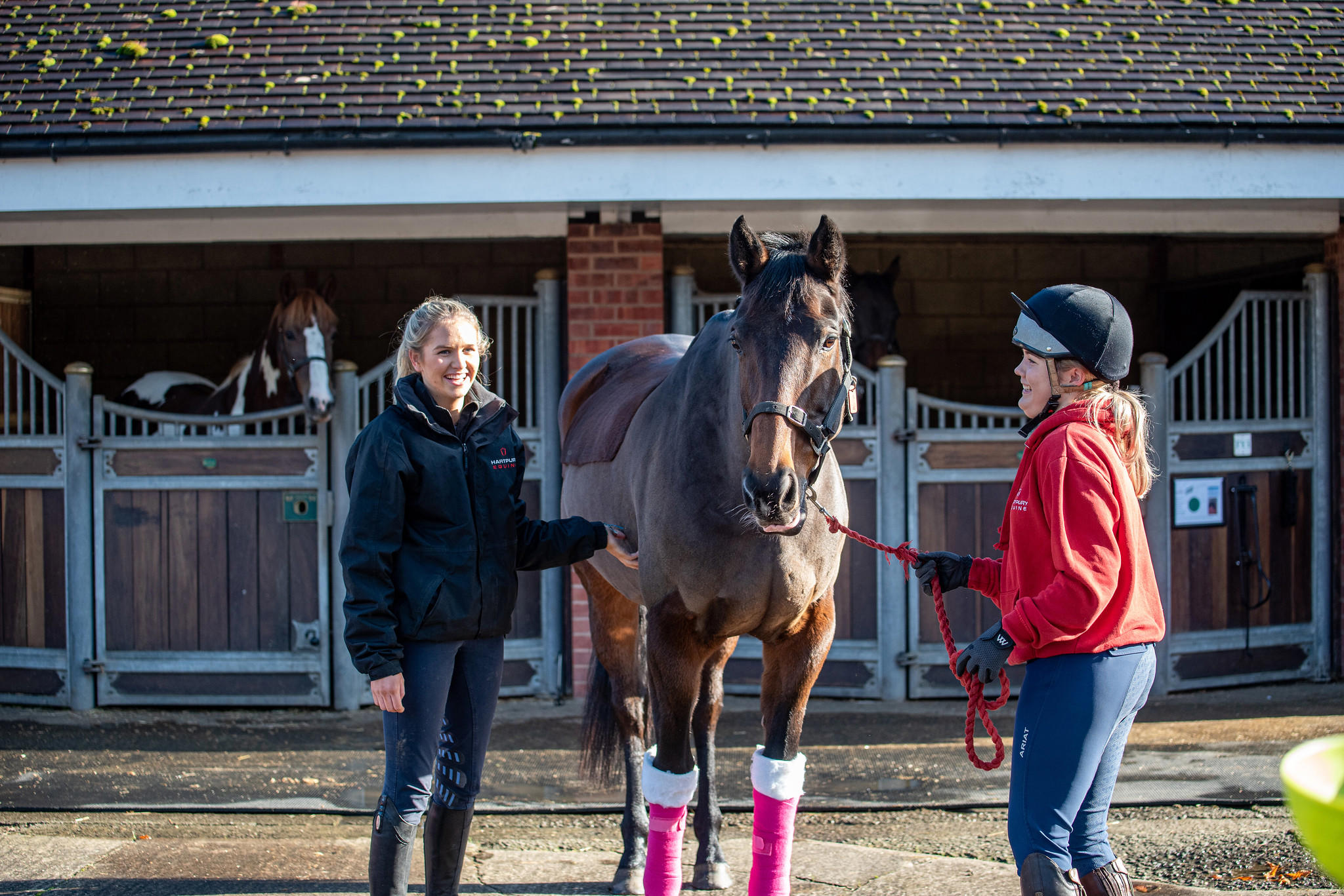 Equine | Hartpury College