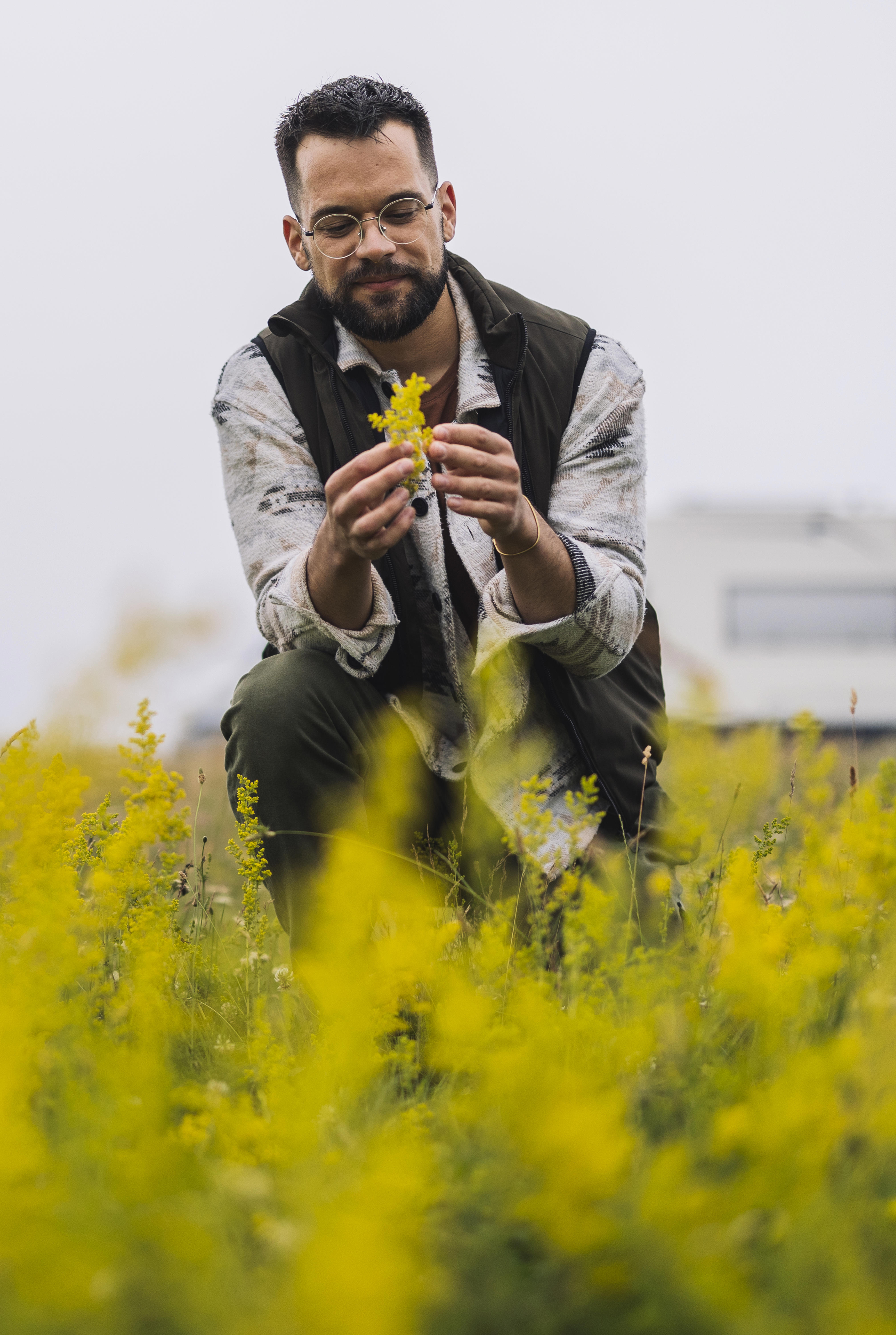 Field Identification Skills Certificate (Botany) | Hartpury University