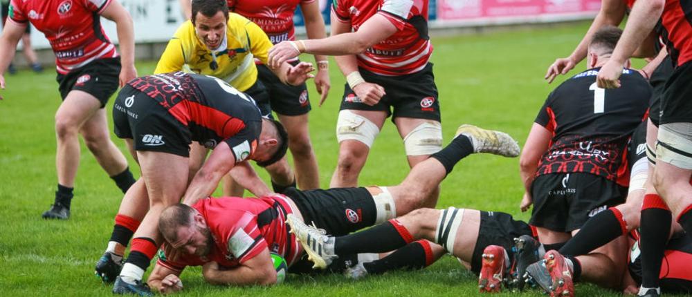 Hartpury RFC vs Cornish Pirates - Match Report - 7 - 14