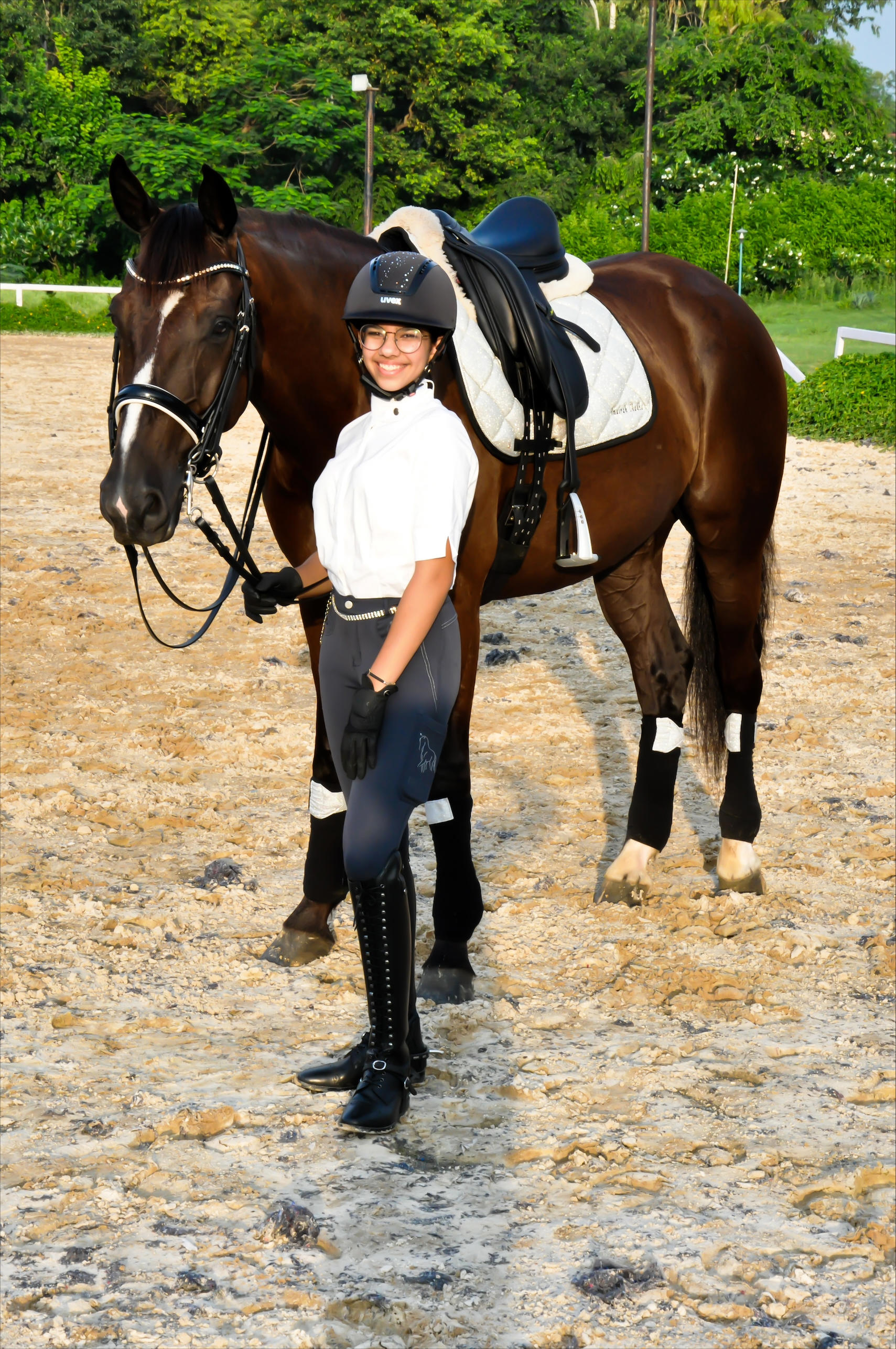 Equine | Hartpury College
