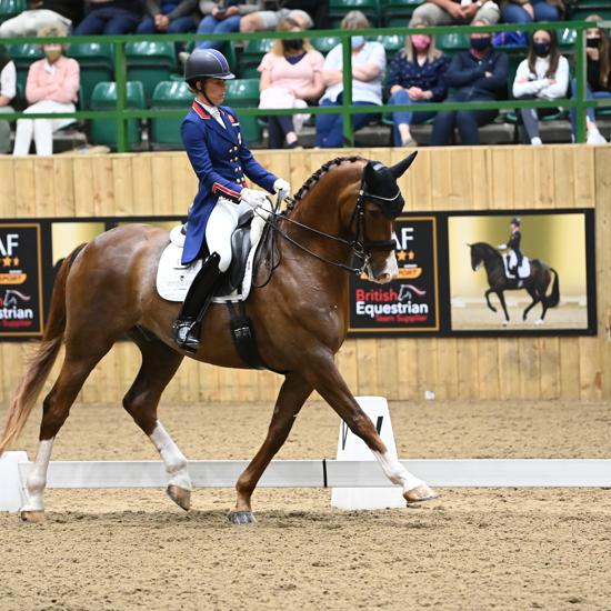 Festival of Dressage