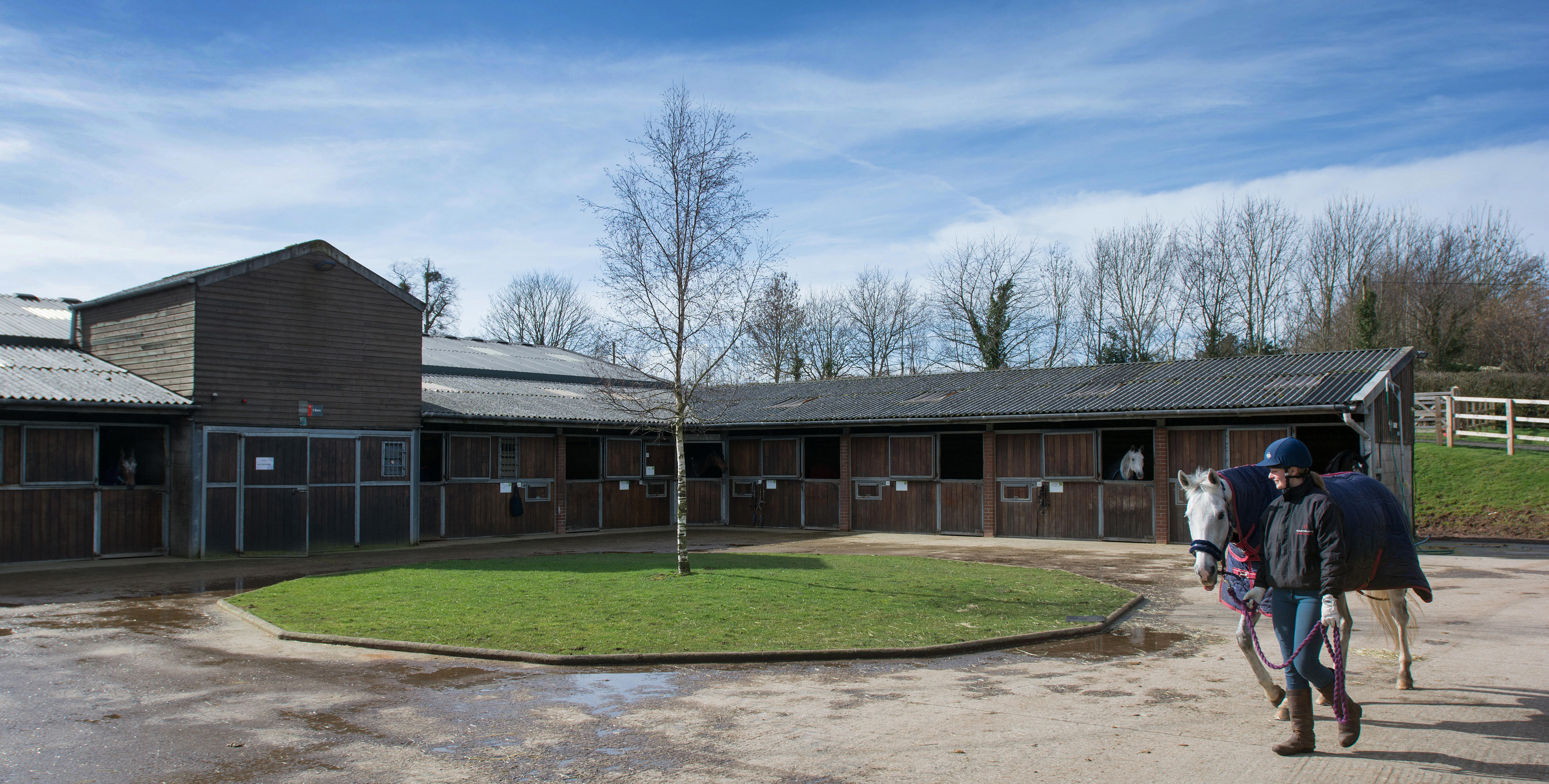 Equine | Hartpury College