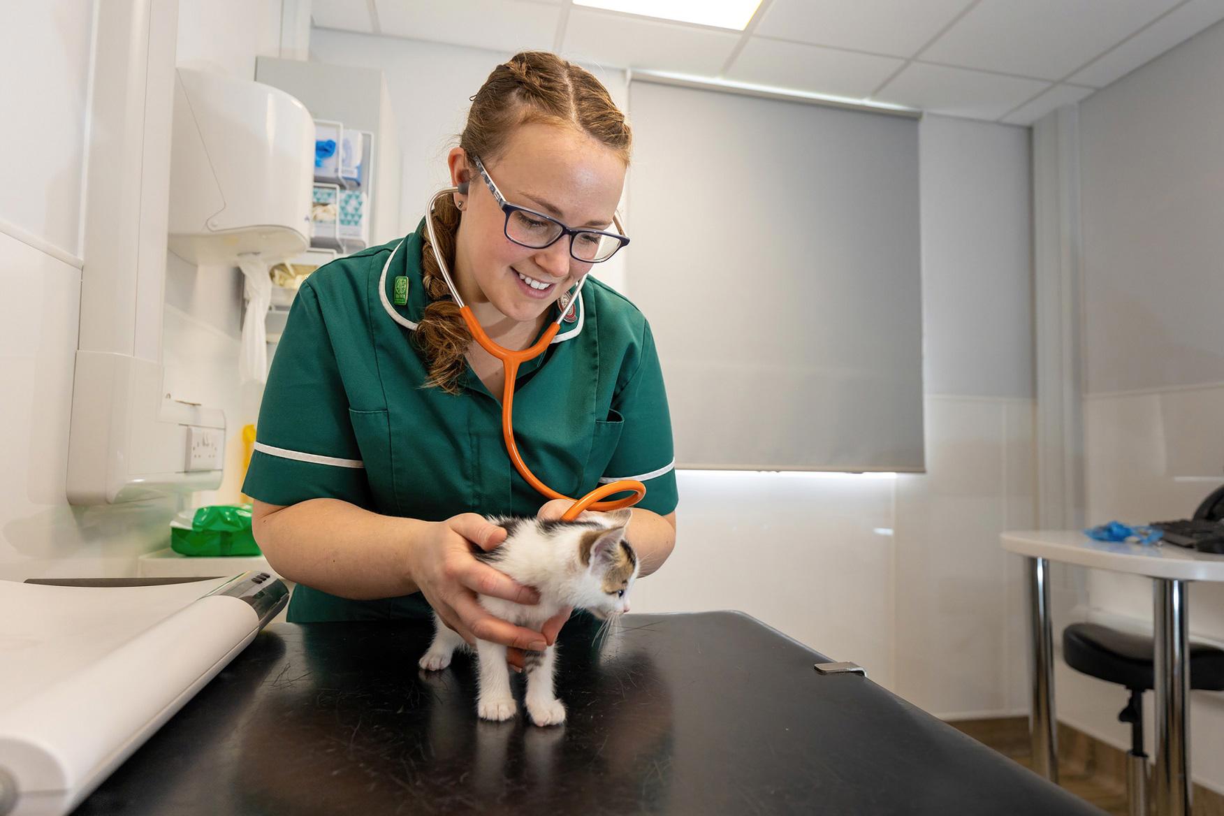 Veterinary Nursing self-assessment tool
