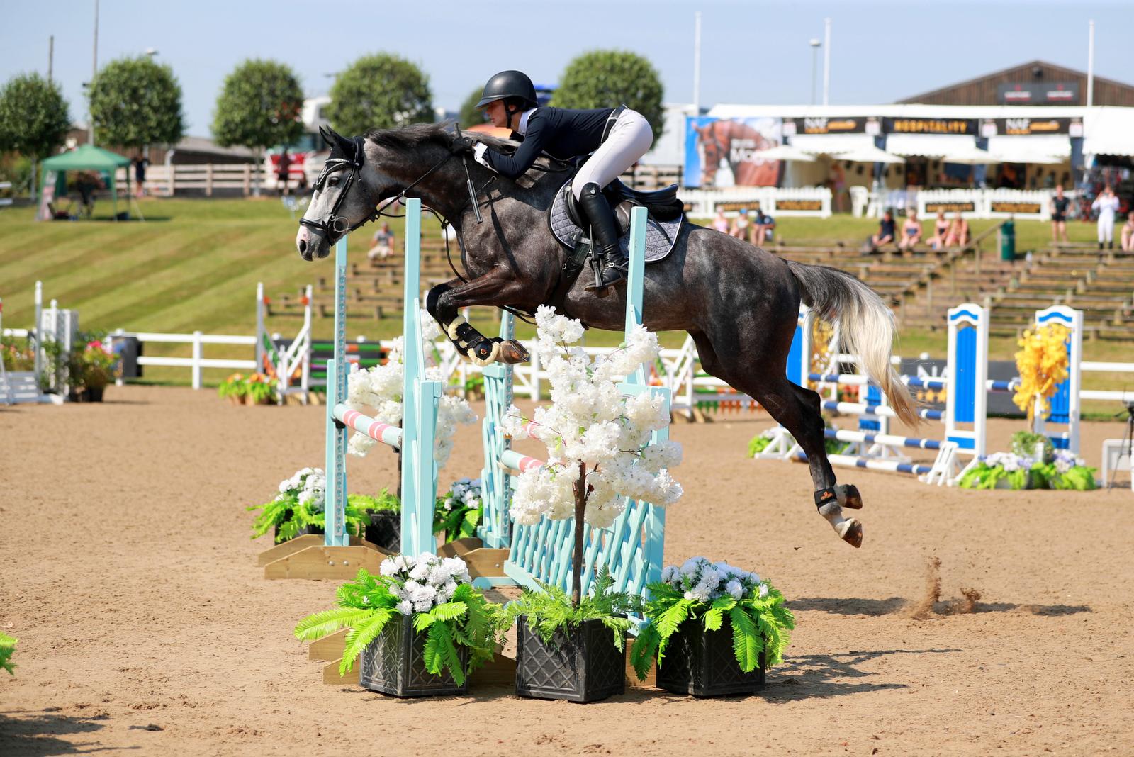 Showjumping Spectacular