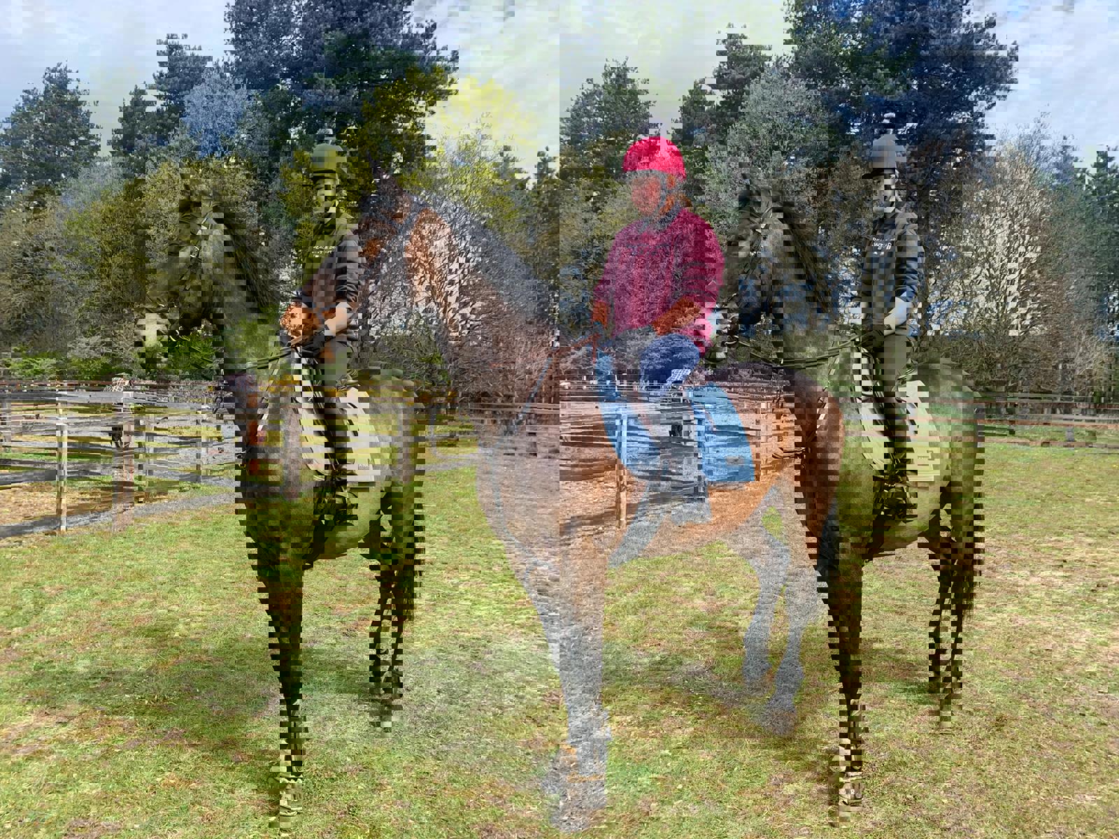 Equine | Hartpury College