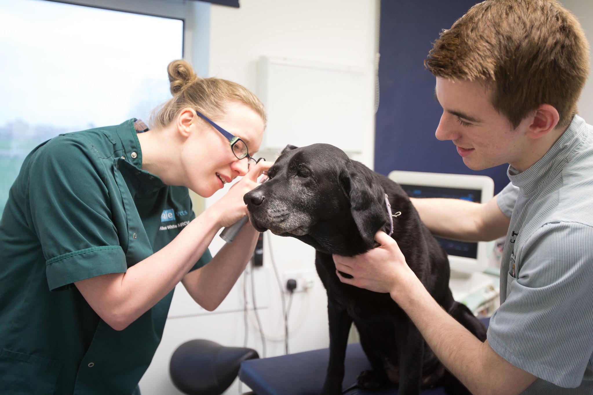 Veterinary Nursing self-assessment tool