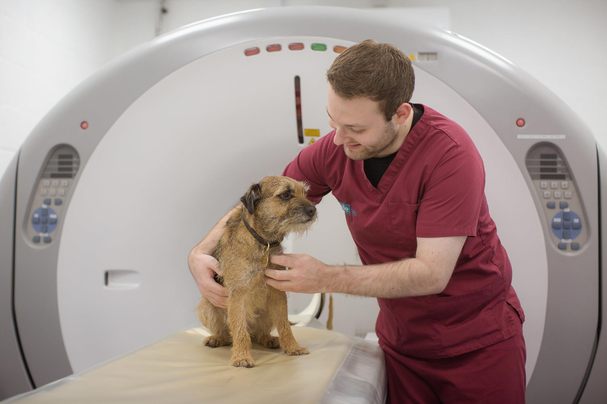 Veterinary Nursing self-assessment tool