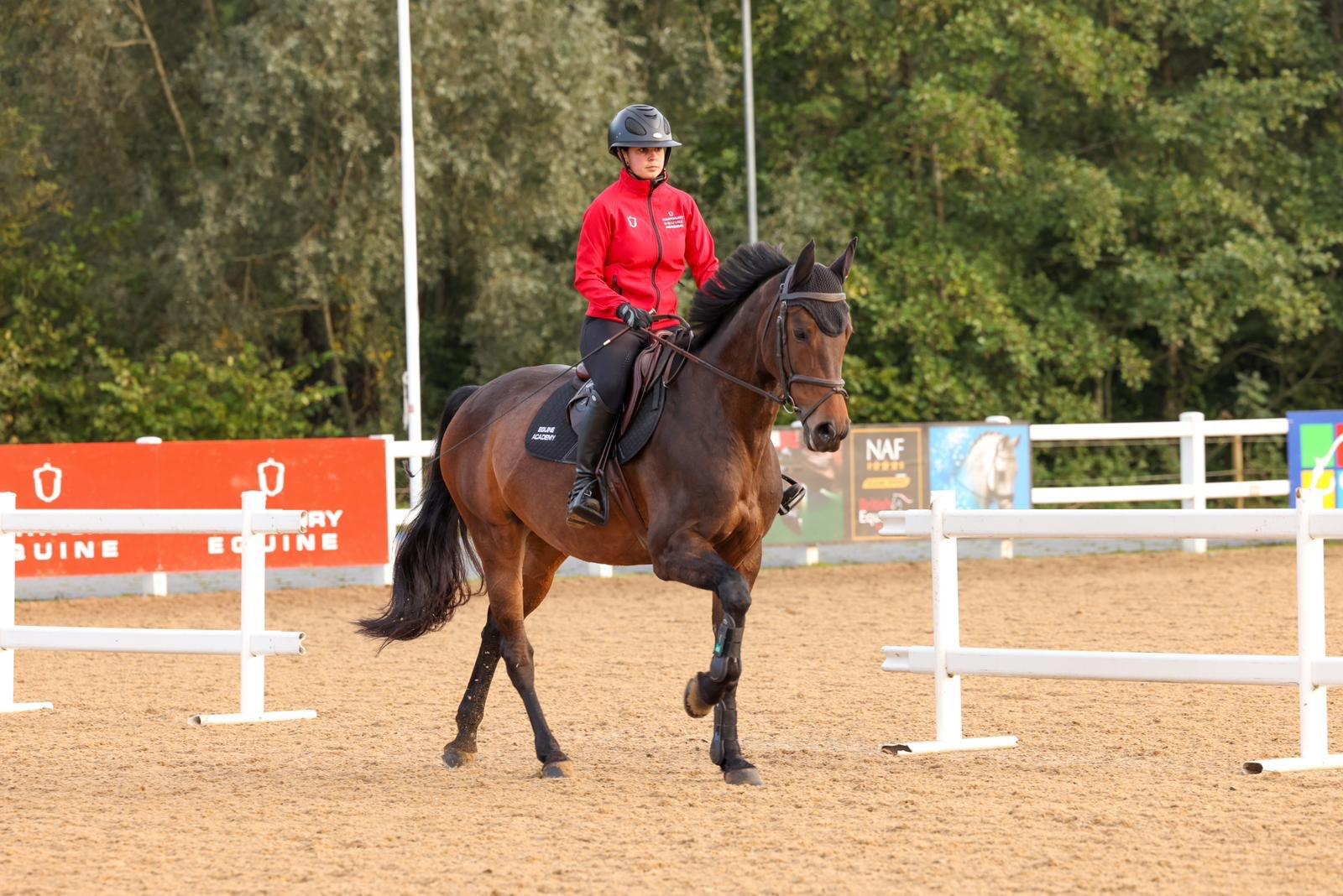 Equine Academy | Hartpury University