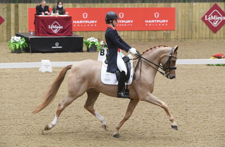 Events | Hartpury Equine