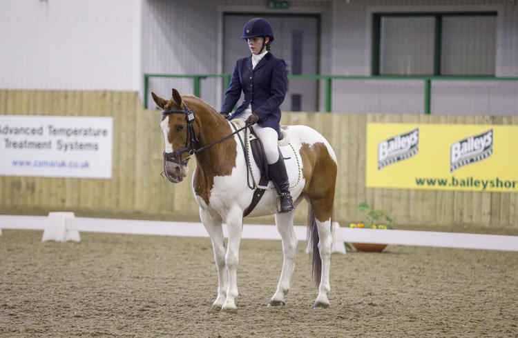 Events | Hartpury Equine