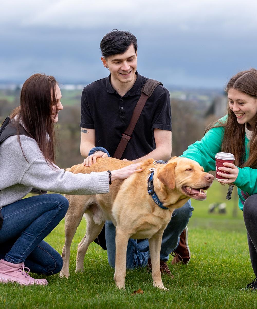 MSc Animal Assisted Counselling and Psychotherapy (MSc, Postgraduate ... MSc Animal Assisted Counselling and Psychotherapy (MSc, Postgraduate ...