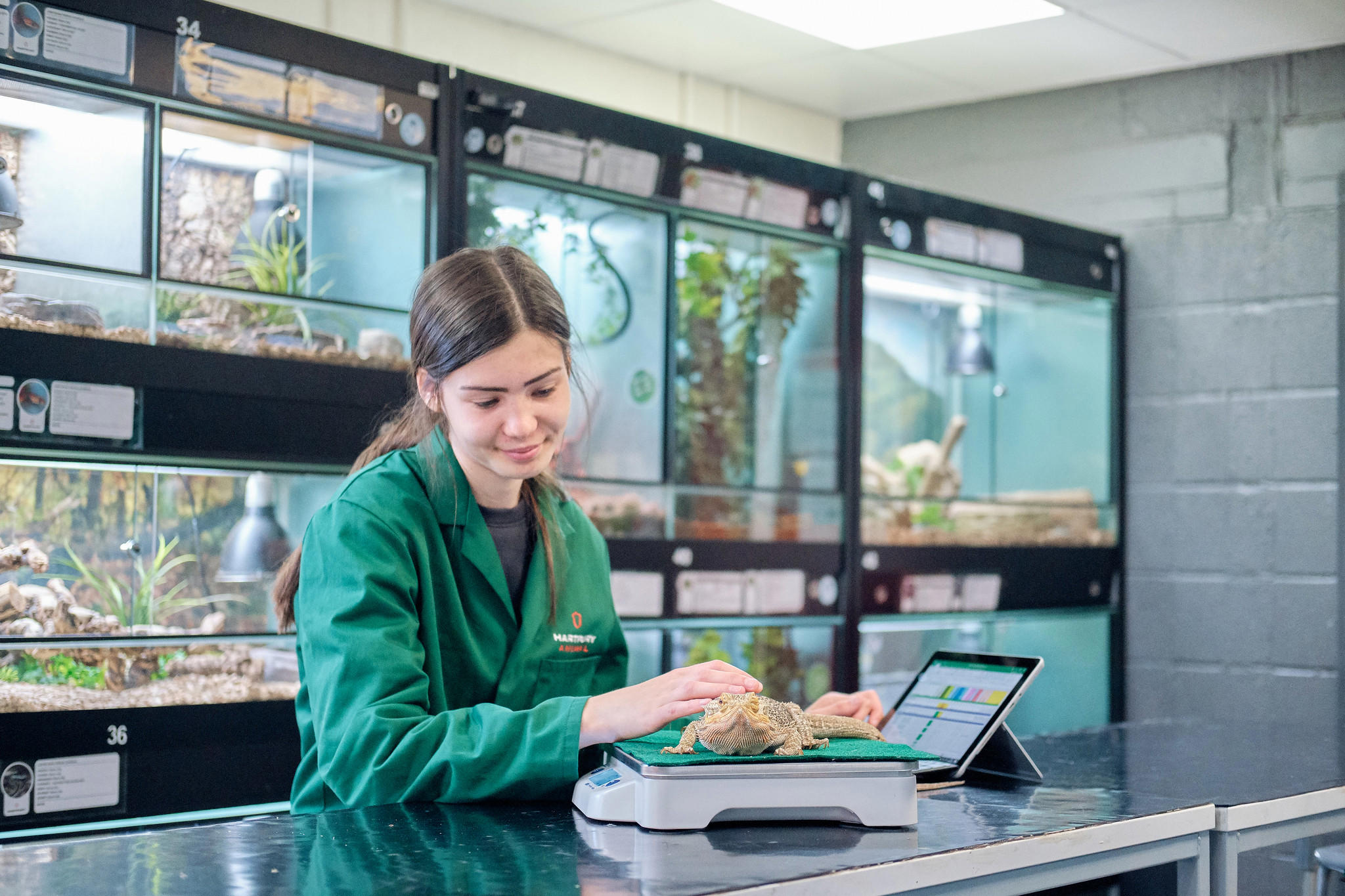 Level 2 Diploma Animal Care | Hartpury College