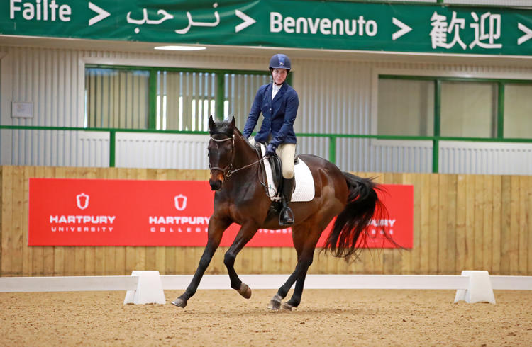 Events | Hartpury Equine